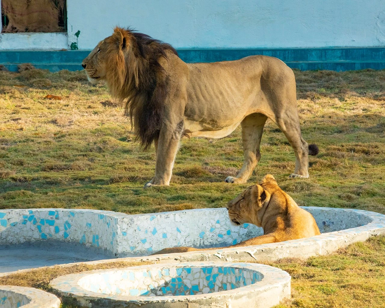 SOU Full-Day Sightseeing with Express Tickets | Ekta Nagar